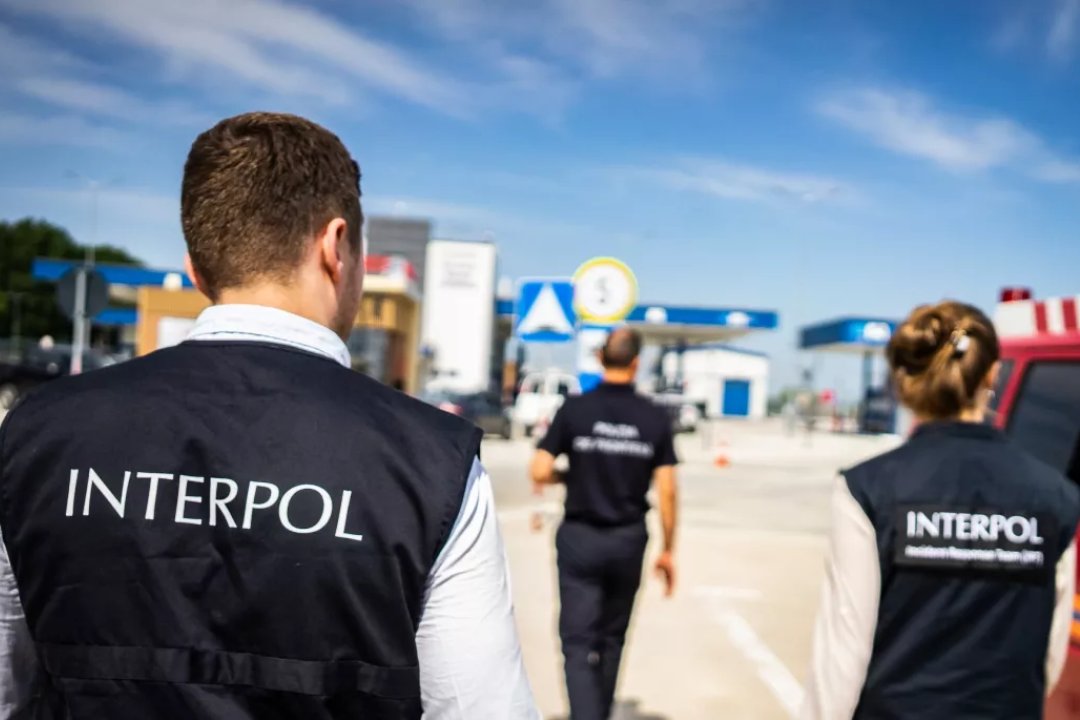 Bid to expel Russia from Interpol: pros and cons for the decision